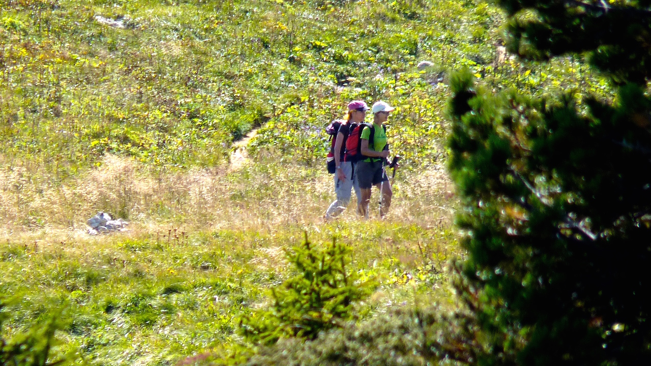 - Blog Montania Sport