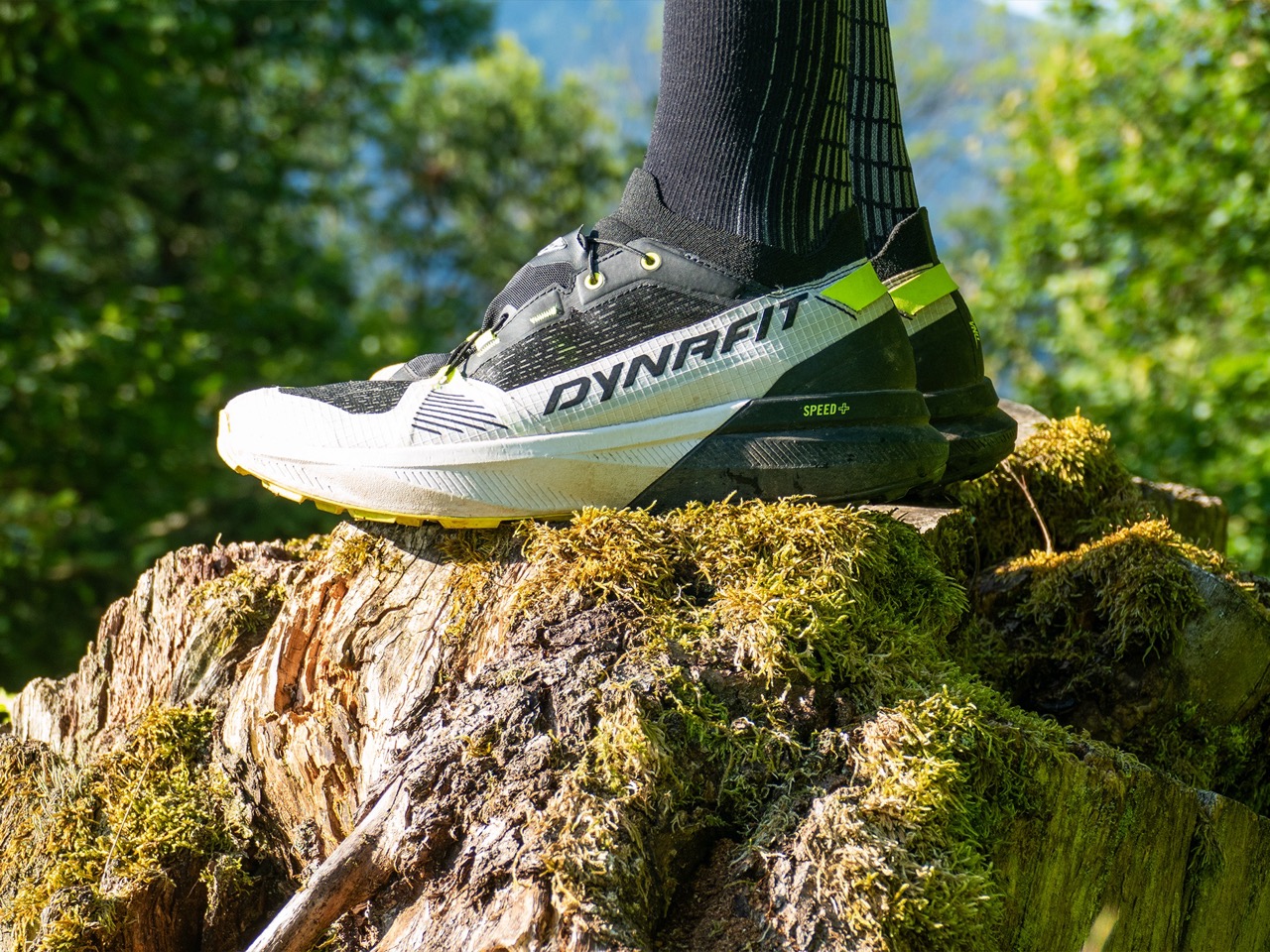 Test des chaussures de Trail Running Dynafit DNA - Blog Montania Sport